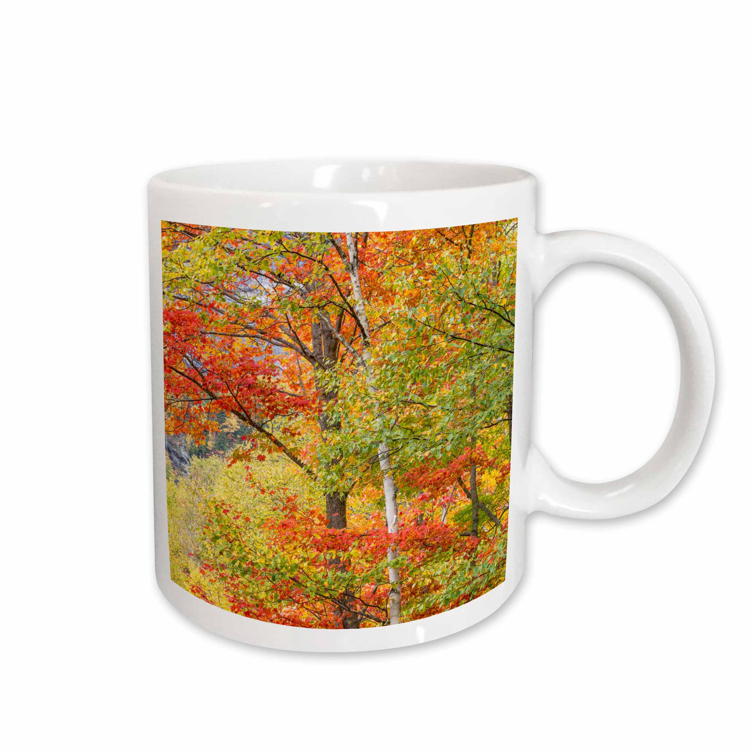 3drose, the Colors of Fall in Grafton Notch State Park, Maine., 11oz ...