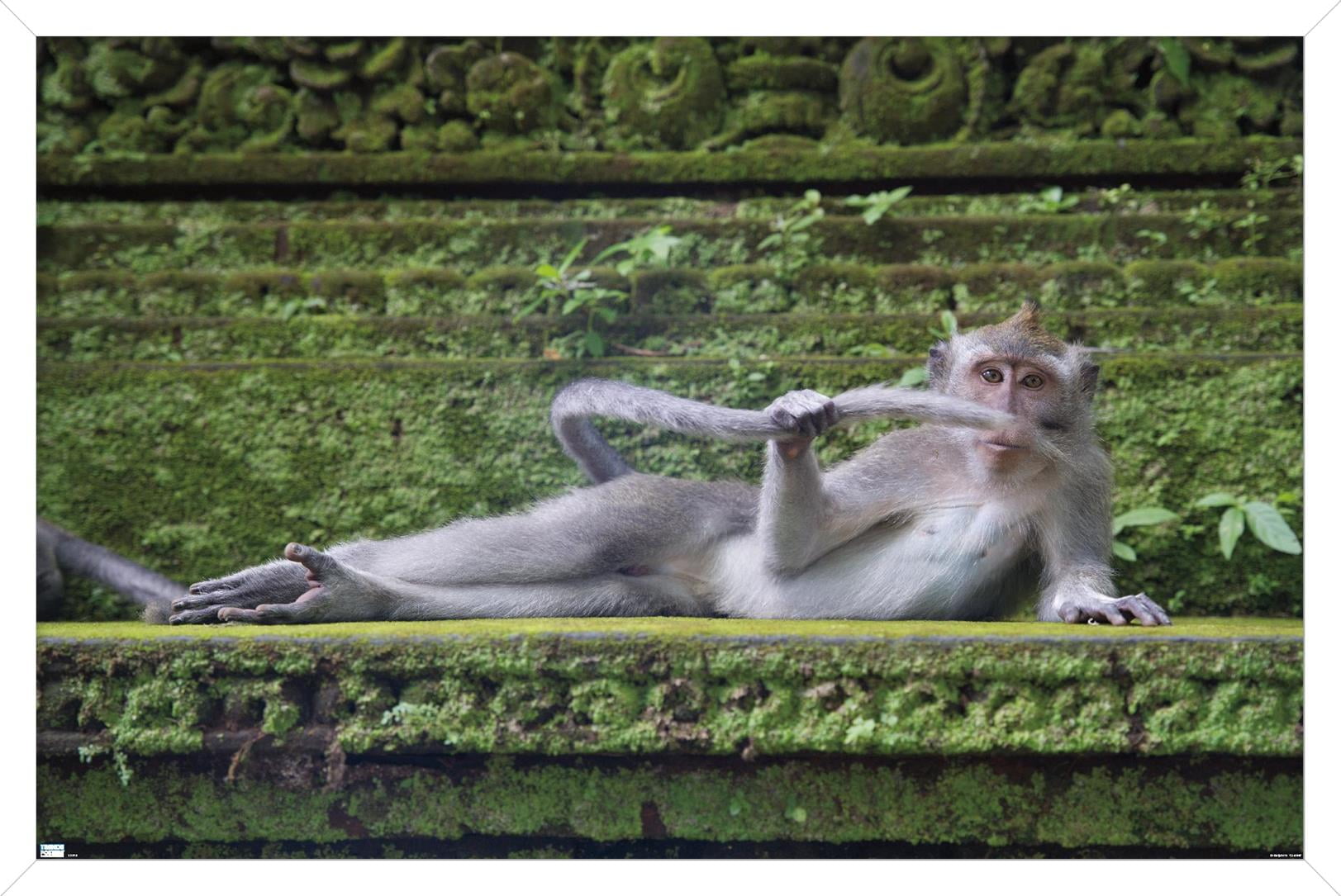 The Comedy Wildlife Photography Awards: Delphine Casimir - The ...