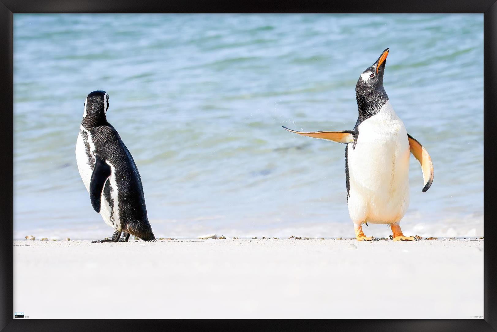 The Comedy Wildlife Photography Awards: Jennifer Hadley - Talk To The ...