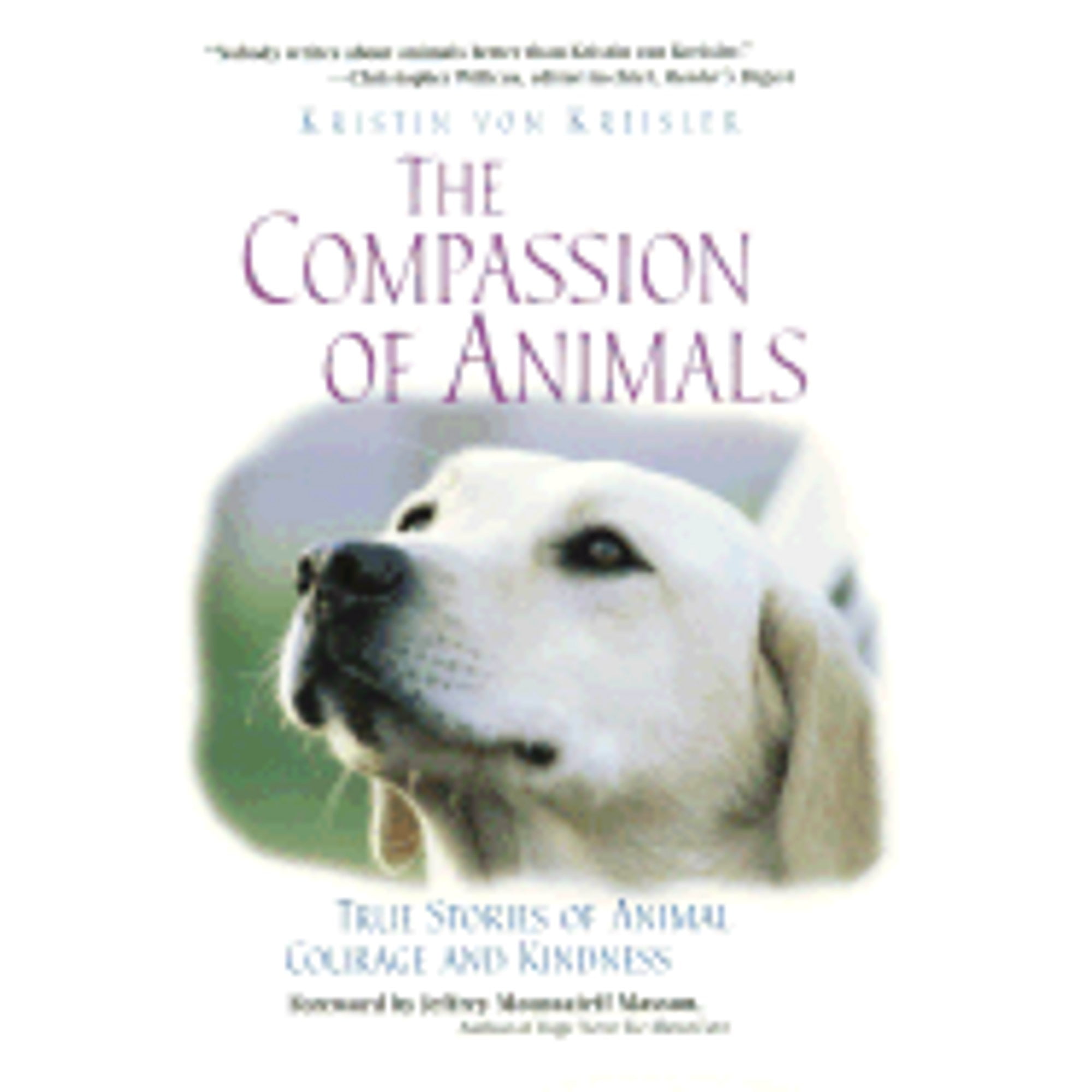 Compassion Animals
