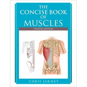 Body Systems: Muscular System (Paperback) - Walmart.com