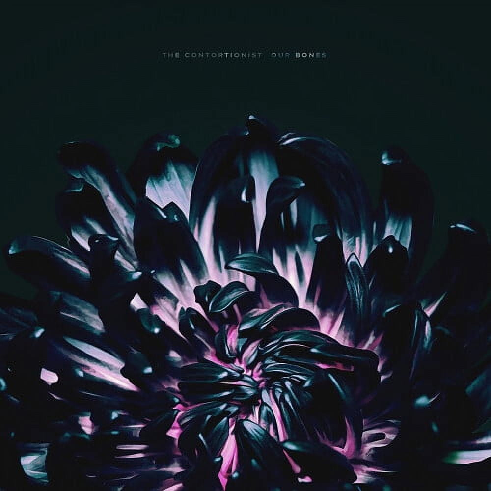 The Contortionist - Our Bones - Music & Performance - CD - Walmart.com