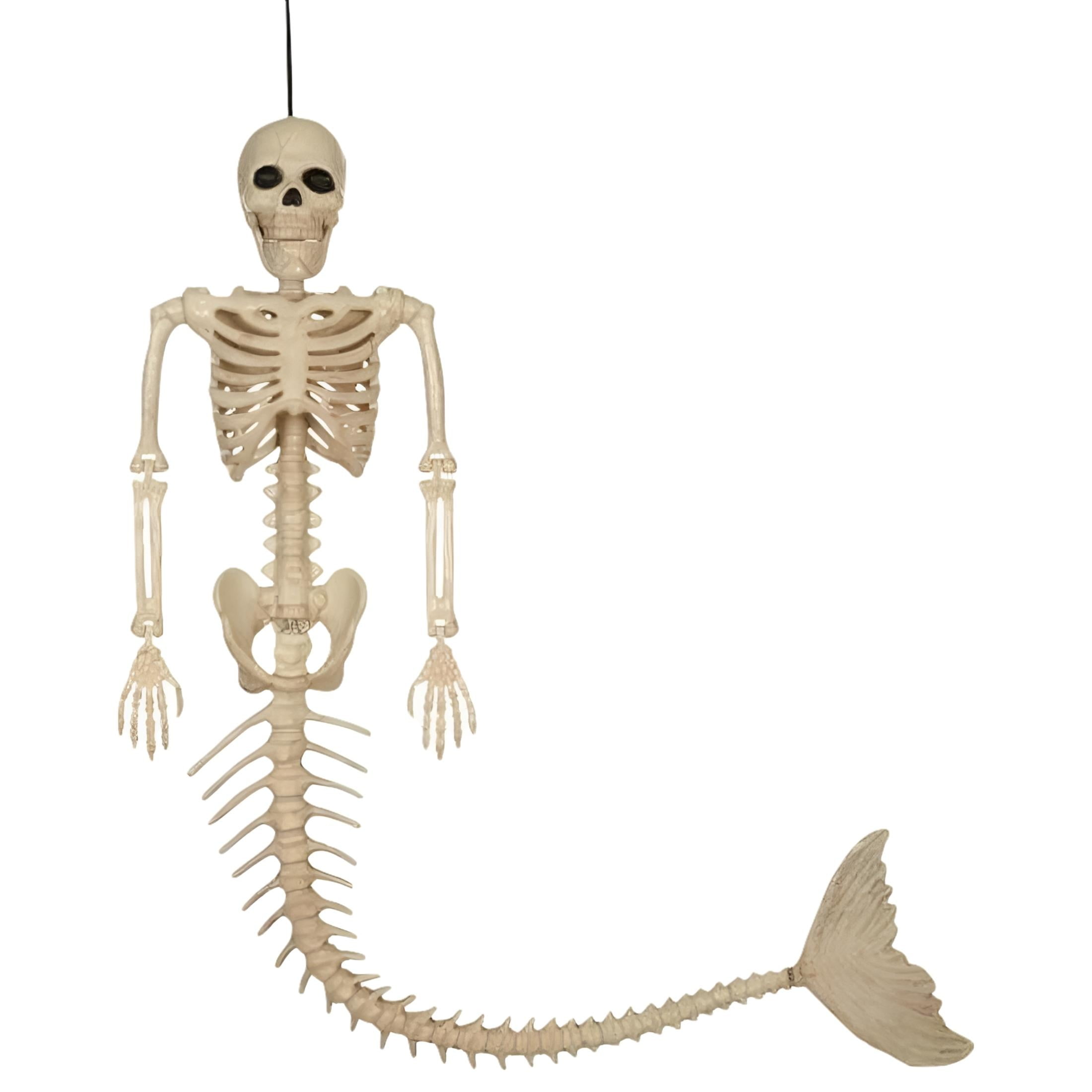 The Costume King SEW81272 21 in. Mermaid Skeleton - Walmart.com
