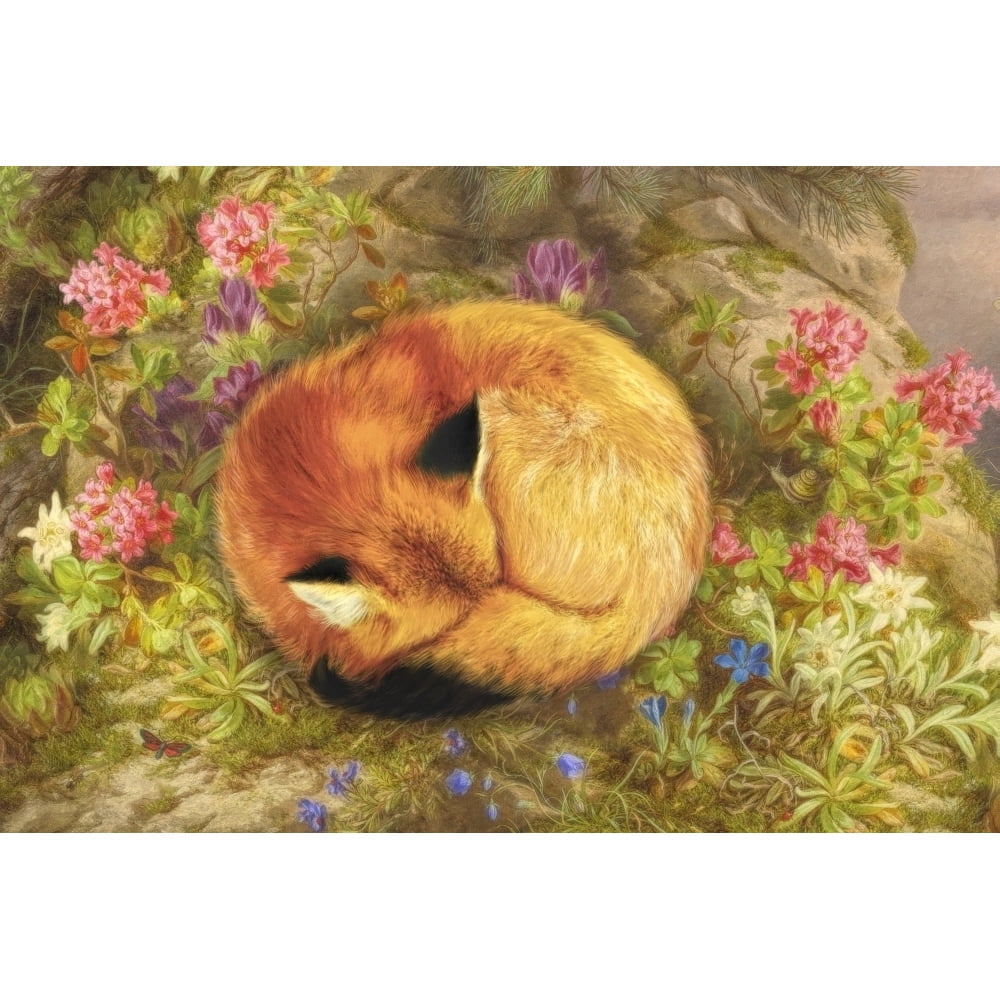 The Cozy Fox Poster Print by Aimee Stewart (36 x 24) - Walmart.com