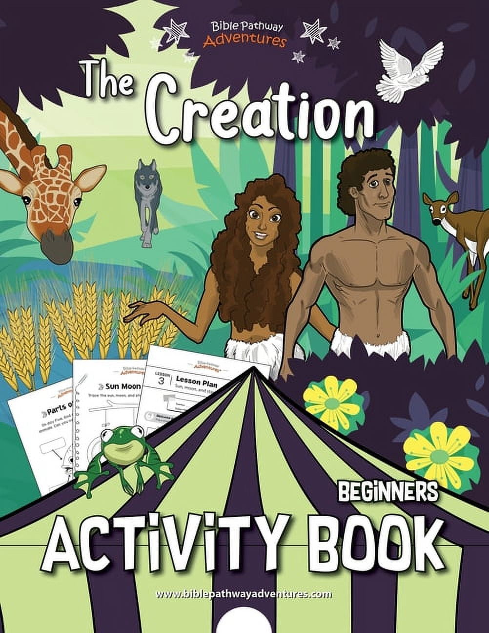 The Creation Activity Book (Paperback) - Walmart.com