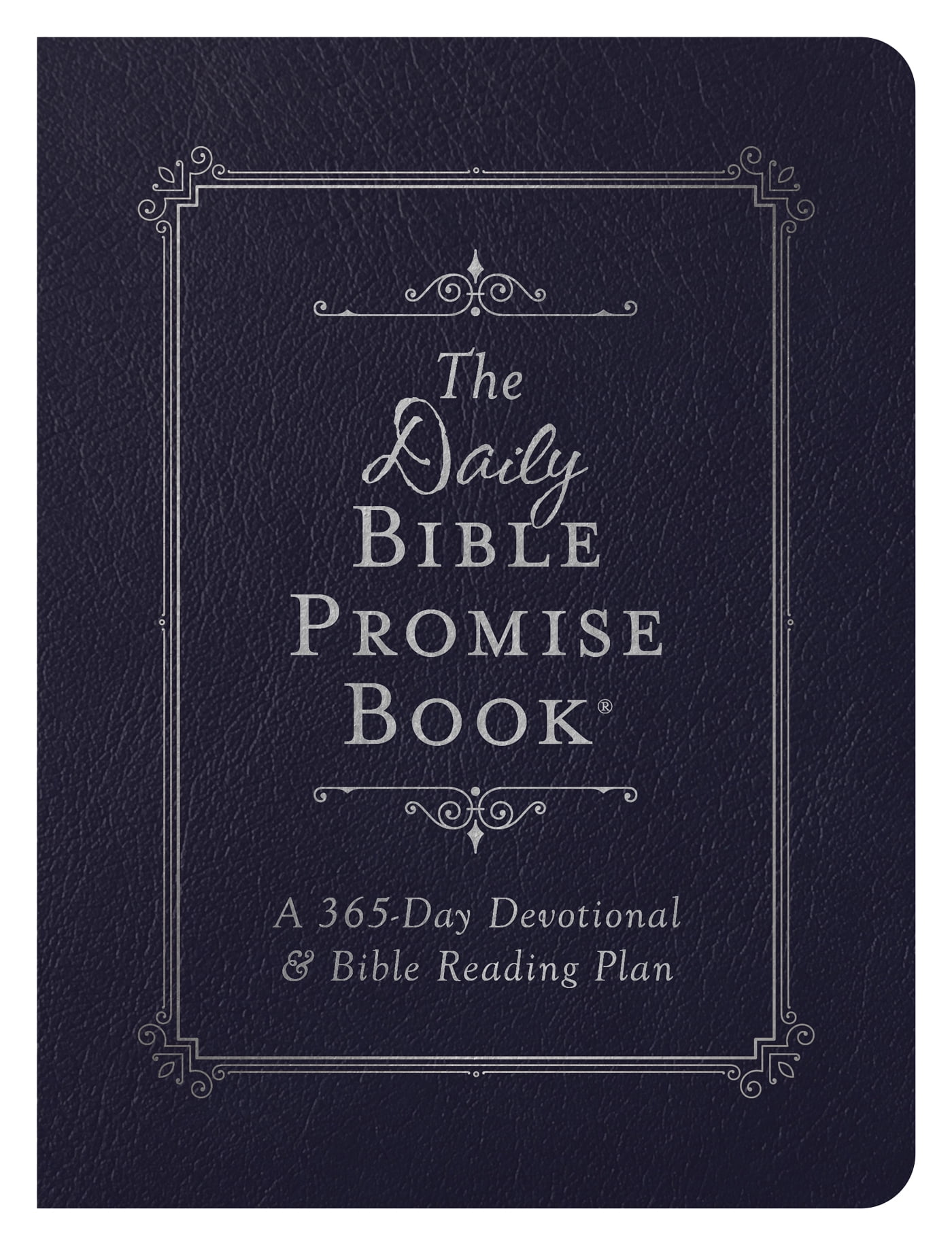 The Daily Bible Promise Book : A 365-Day Devotional and Bible Reading ...
