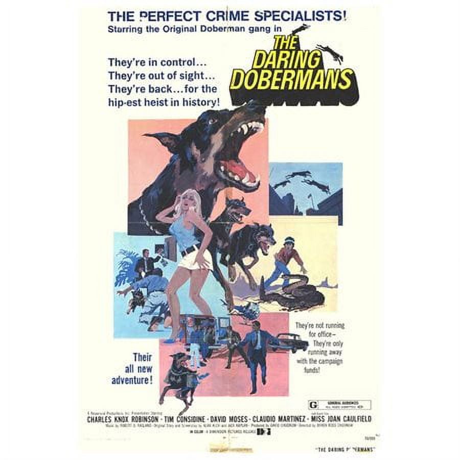 The Daring Dobermans Poster Movie 27 x 40 In - 69cm x 102cm Charles ...