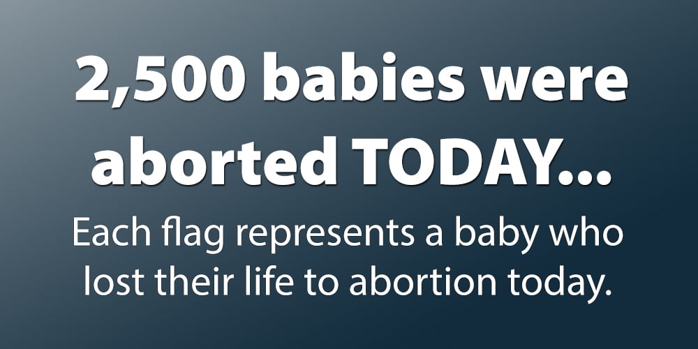 The Day Display Pro-Life Vinyl Sign - Walmart.com