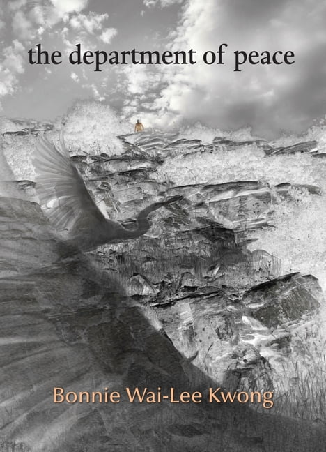 The Department of Peace, (Paperback) - Walmart.com