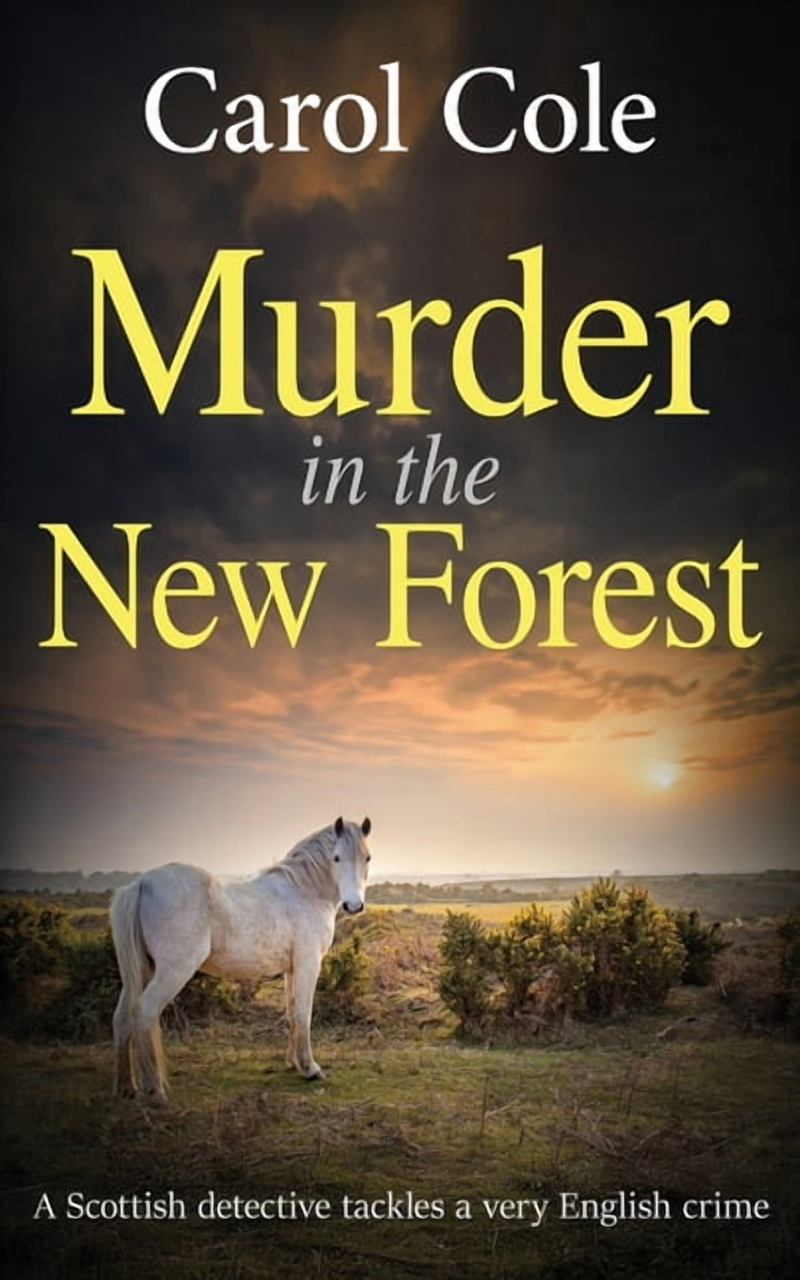 The Di Callum MacLean Mysteries Murder in the New Forest: A Scottish ...
