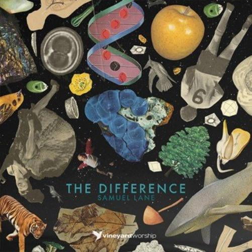 Samuel Lane The Difference (CD) - Walmart.com