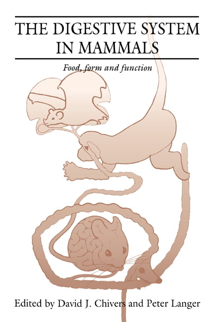 The Digestive System in Mammals: Food Form and Function, (Paperback ...