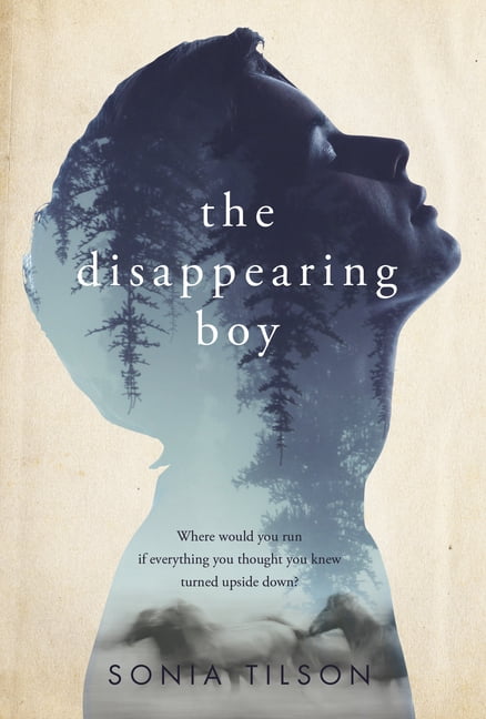 The Disappearing Boy (Paperback) - Walmart.com