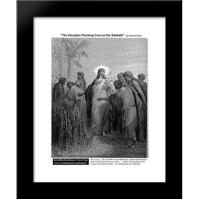 The Disciples Plucking Corn On The Sabbath 20x24 Framed Art Print by ...
