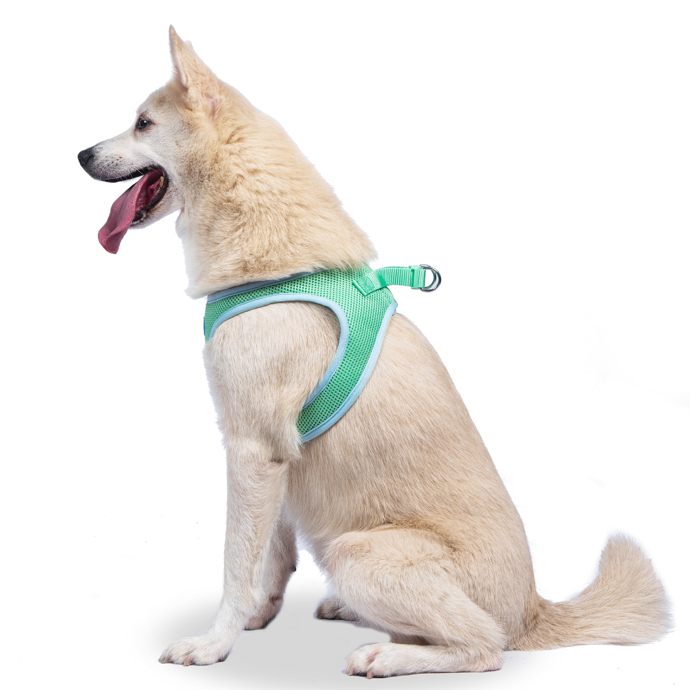 The Dodo Green Mesh Dog Step-in Harness - Medium - Walmart.com