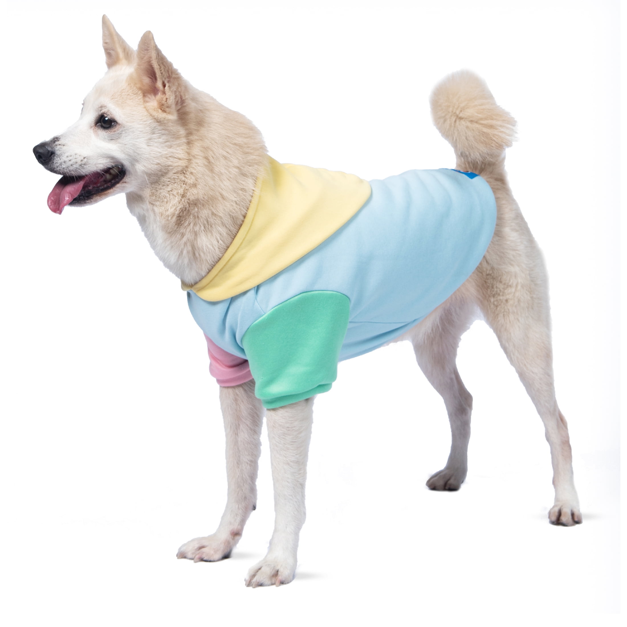The Dodo Pastel Colorblock Dog Hoodie - Small - Walmart.com
