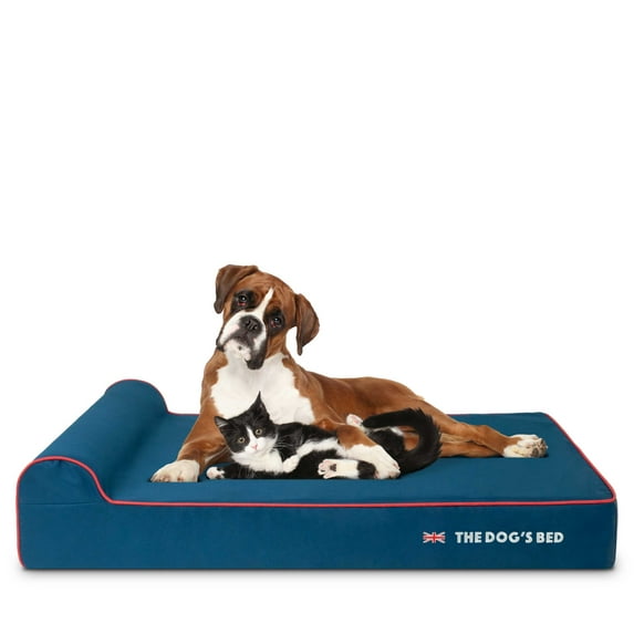 The Dog’s Bed Orthopedic Headrest Dog Bed, Large Blue with Red Trim, US ...