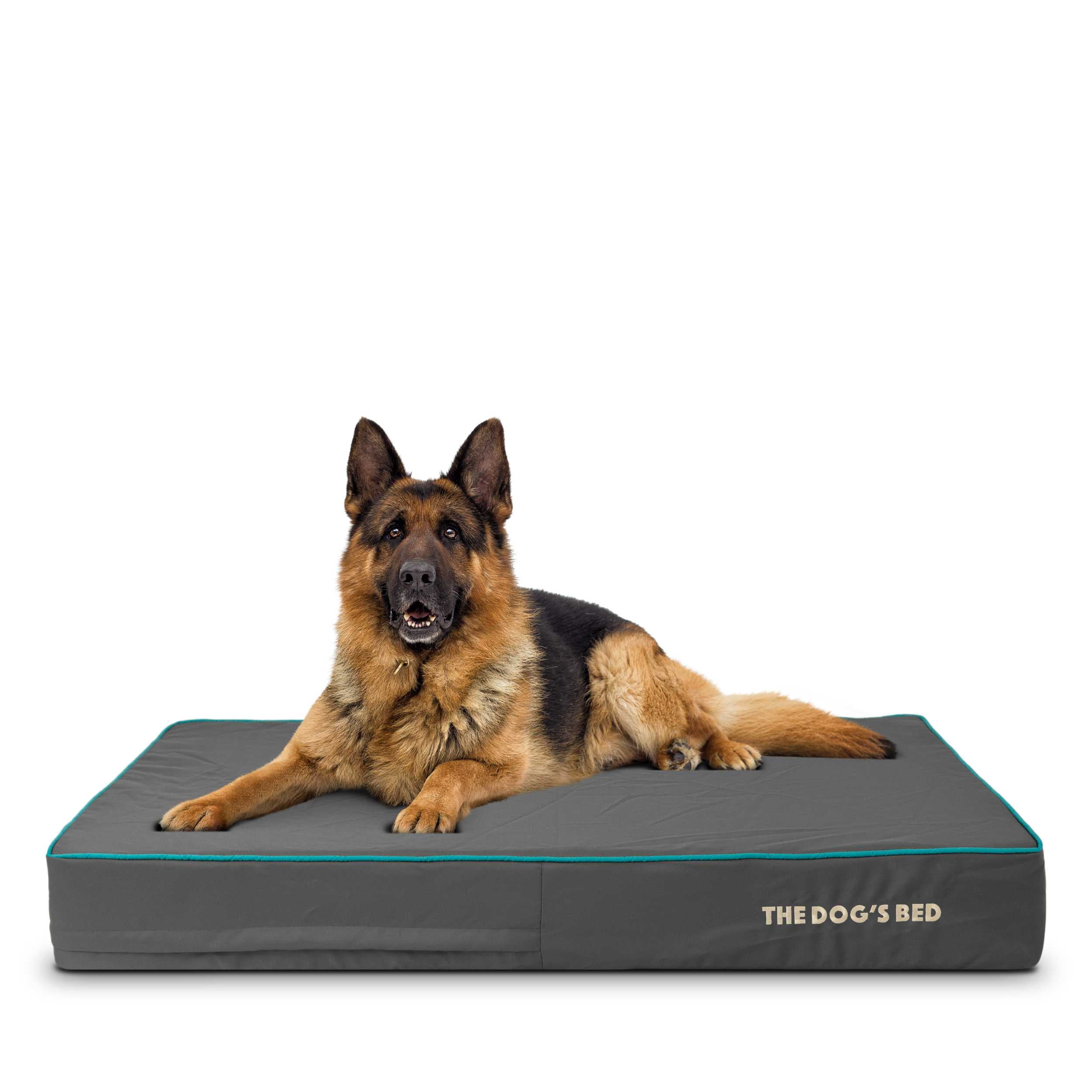 The Dog’s Bed Orthopedic Memory Foam Dog Bed, XL Blue & Red 46x28, Pain ...