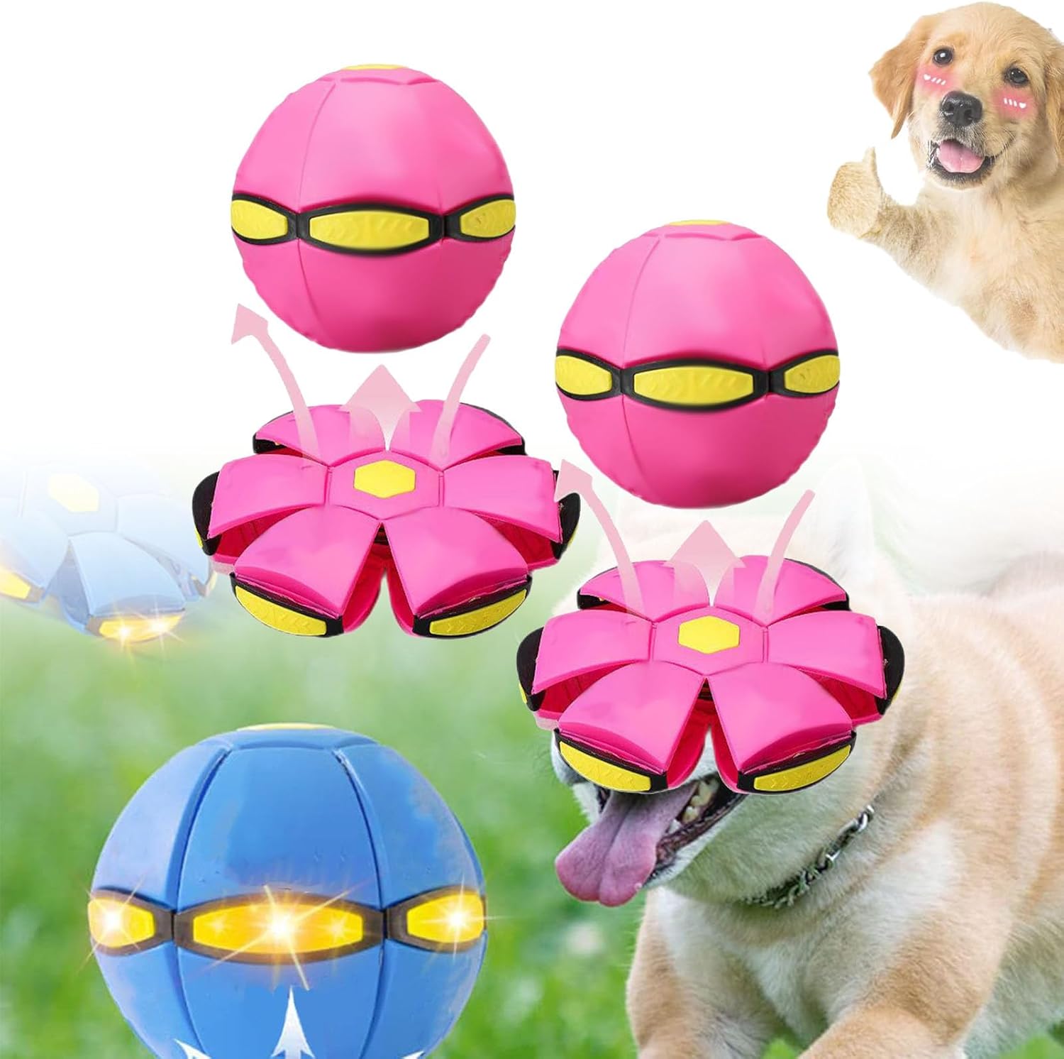 The Doggy Disc Ball, Ancientflow Dog Toy, Ancienflow, Doggie Disc Ball ...