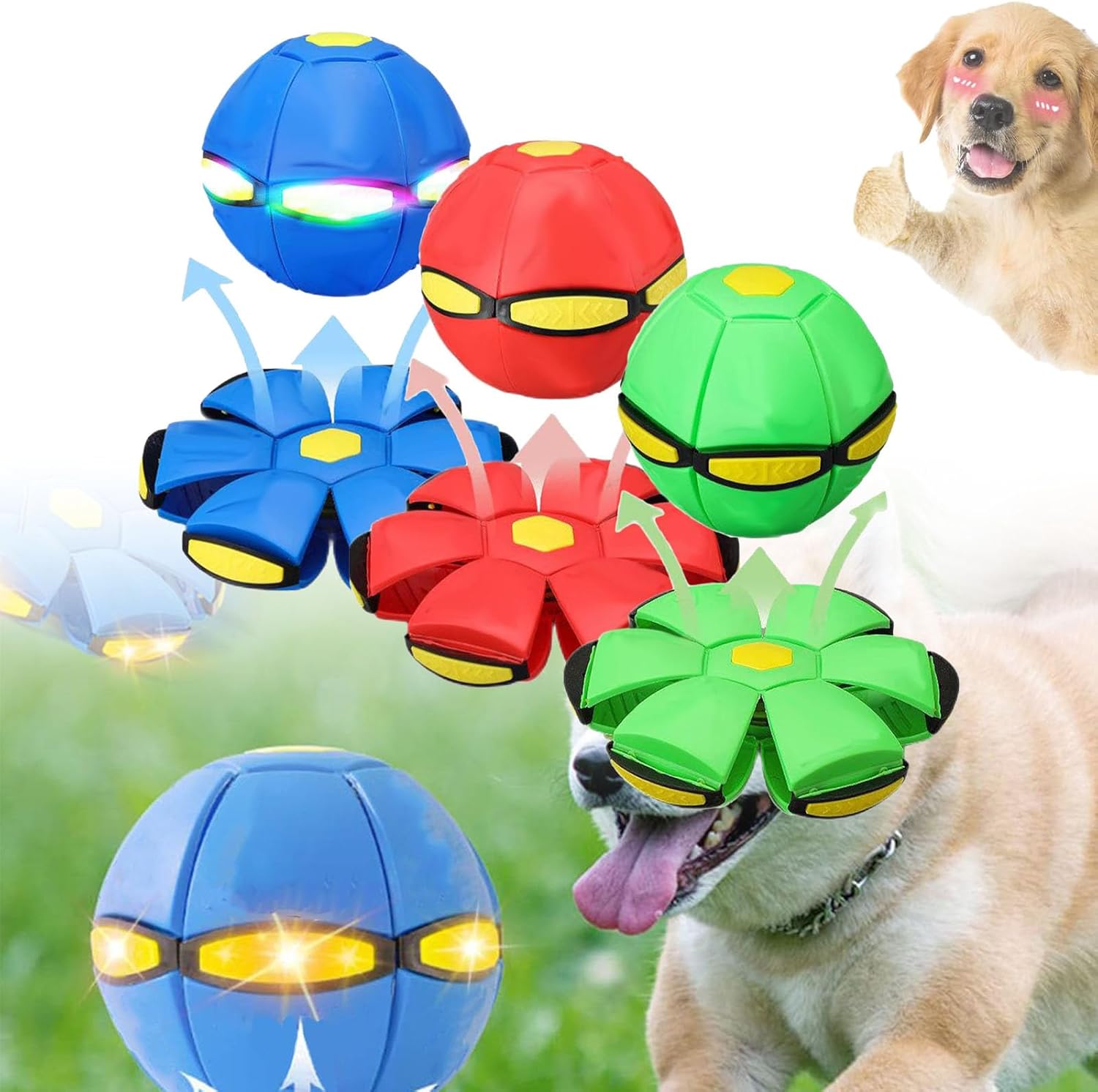 The Doggy Disc Ball, Ancientflow Dog Toy, Ancienflow, Doggie Disc Ball ...