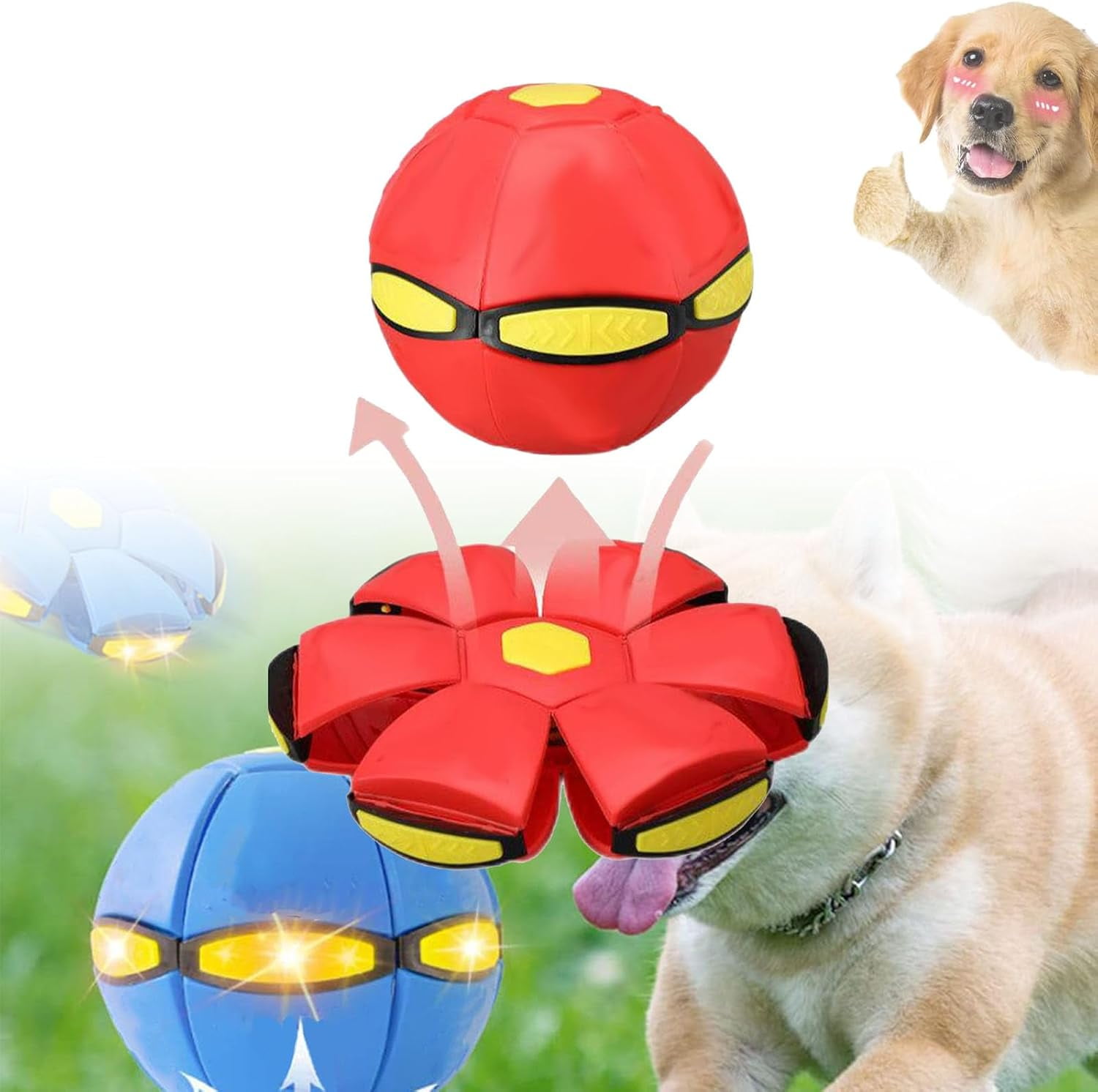 The Doggy Disc Ball, Ancientflow Dog Toy, Ancienflow, Doggie Disc Ball ...