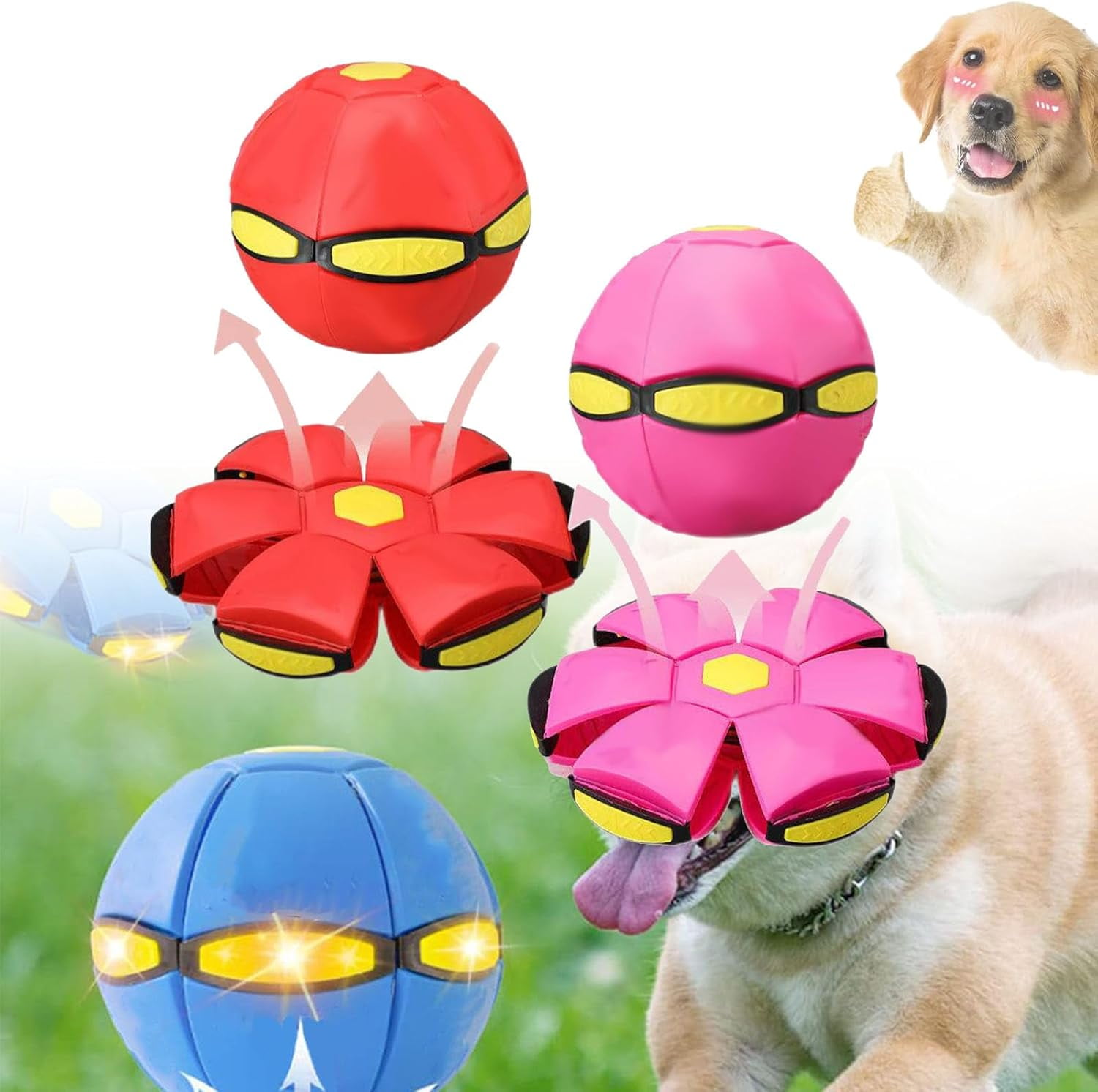 The Doggy Disc Ball, Ancientflow Dog Toy, Ancienflow, Doggie Disc Ball ...