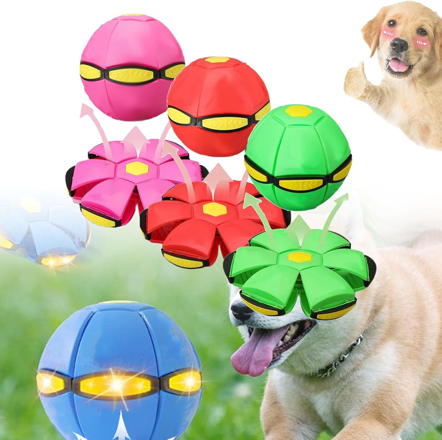 The Doggy Disc Ball, Ancientflow Dog Toy, Ancienflow, Doggie Disc Ball ...