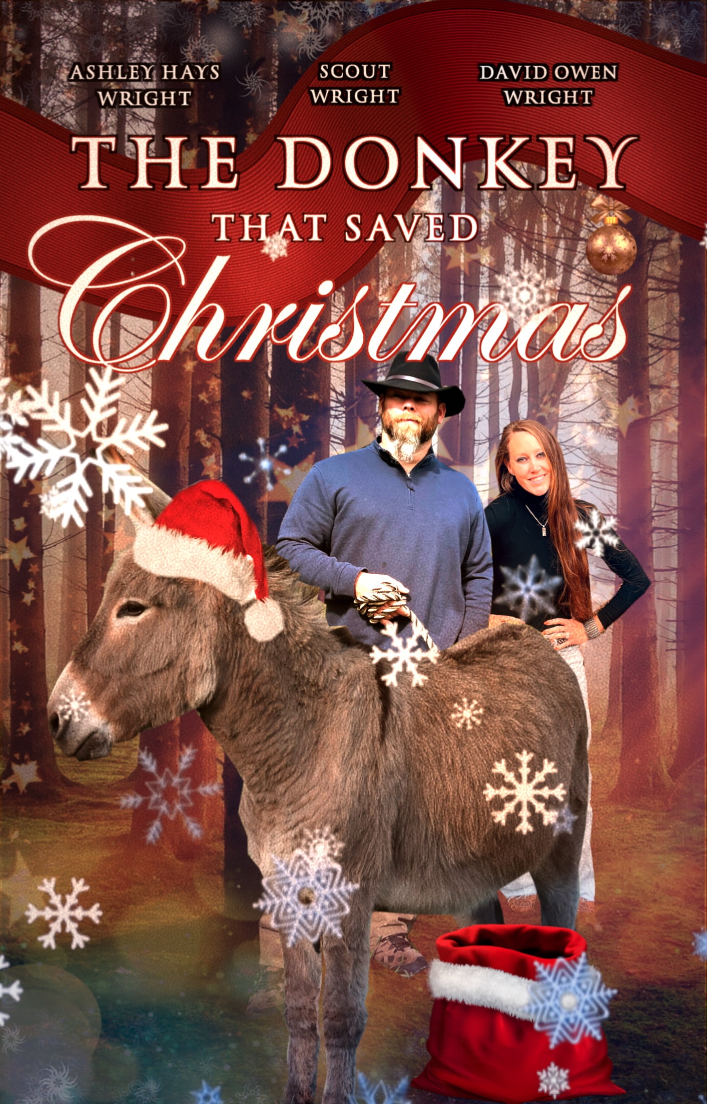 The Donkey That Saved Christmas: A Family Drama Christmas Movie DVD ...