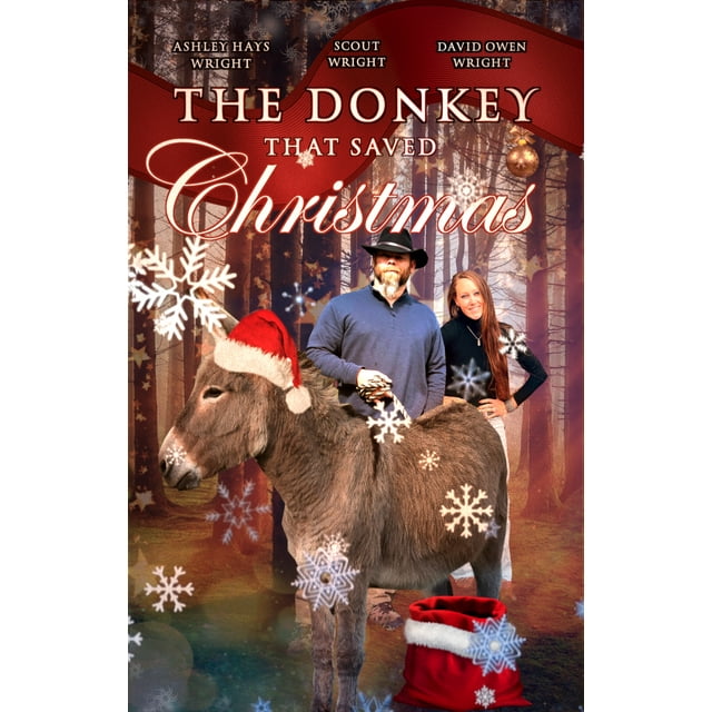 The Donkey That Saved Christmas: A Family Drama Christmas Movie DVD ...