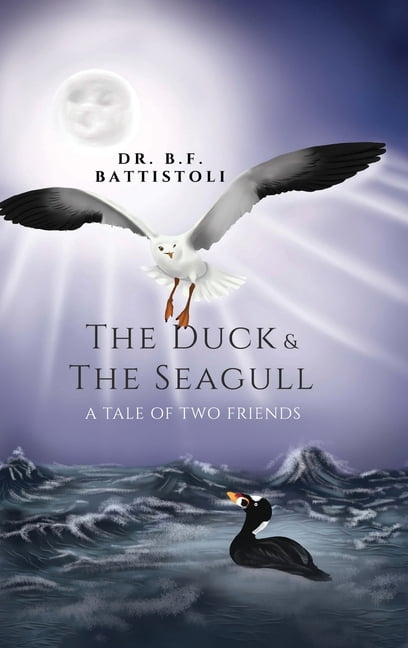 The Duck & the Seagull: A Tale of Two Friends, (Hardcover) - Walmart.com