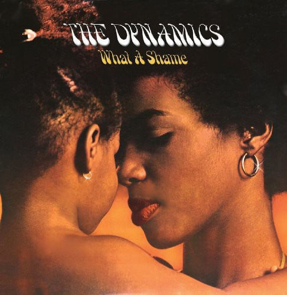 The Dynamics - What a Shame - Music & Performance - CD - Walmart.com
