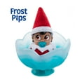 The Elf on the Shelf Frost Pips Mini Blooms Elf Baby (Brown Eyed Girl ...