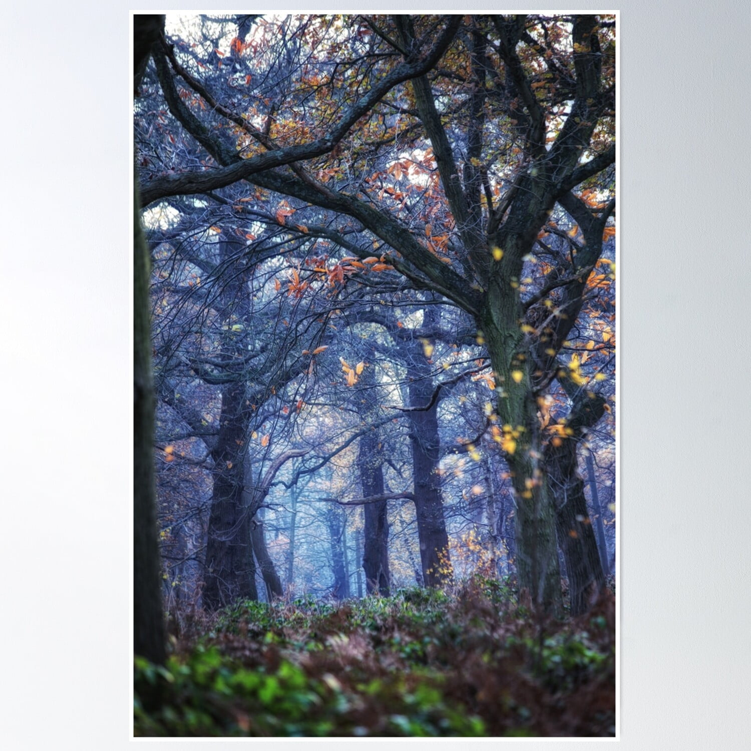 The Enchanted Forest ~ Portrait Poster Wall Art, Modern Wall Decor ...