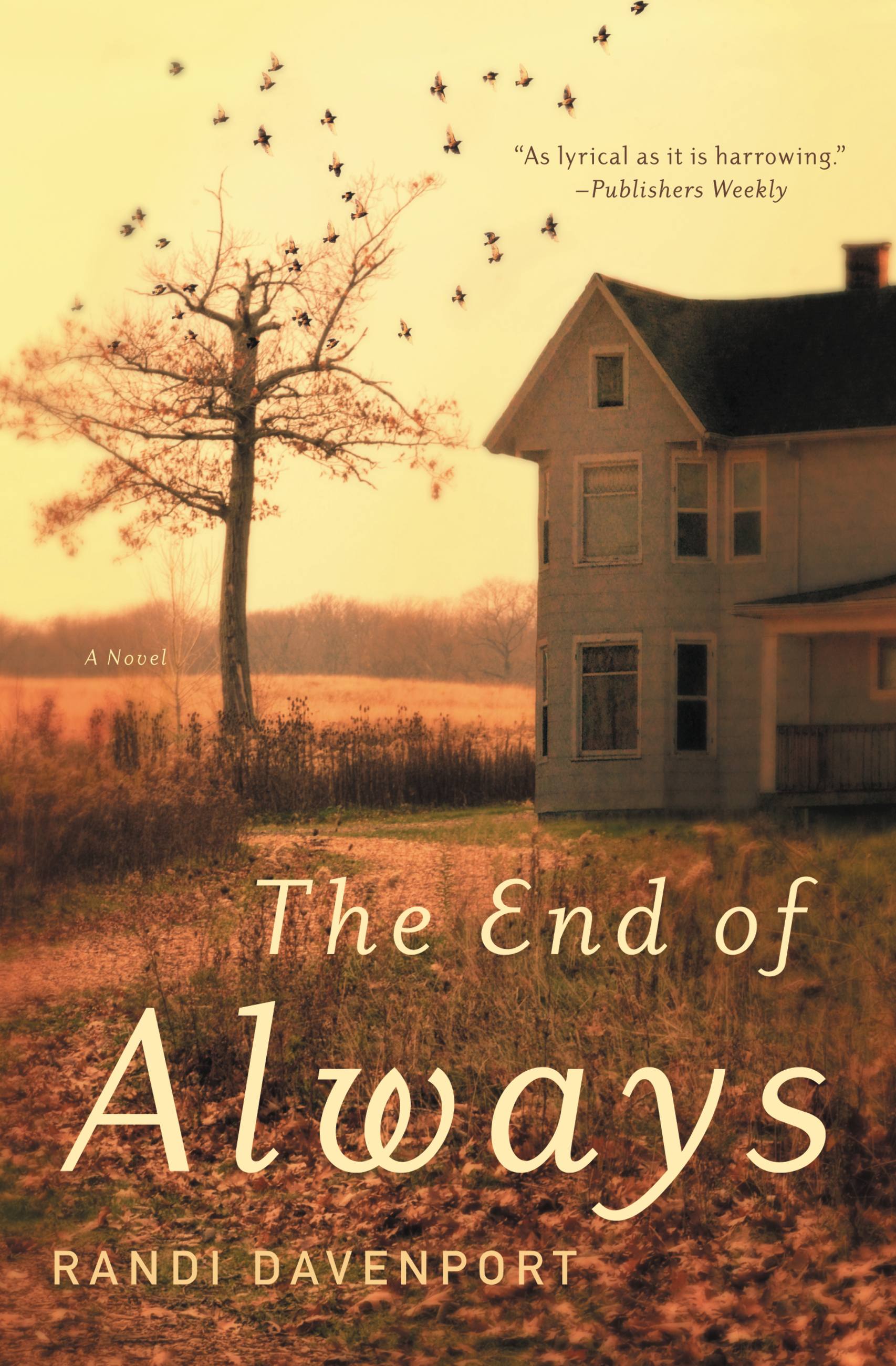 The End of Always : A Novel (Paperback) - Walmart.com