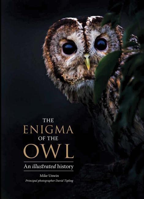 Pre-Owned The Enigma of the Owl: An Illustrated Natural History ...