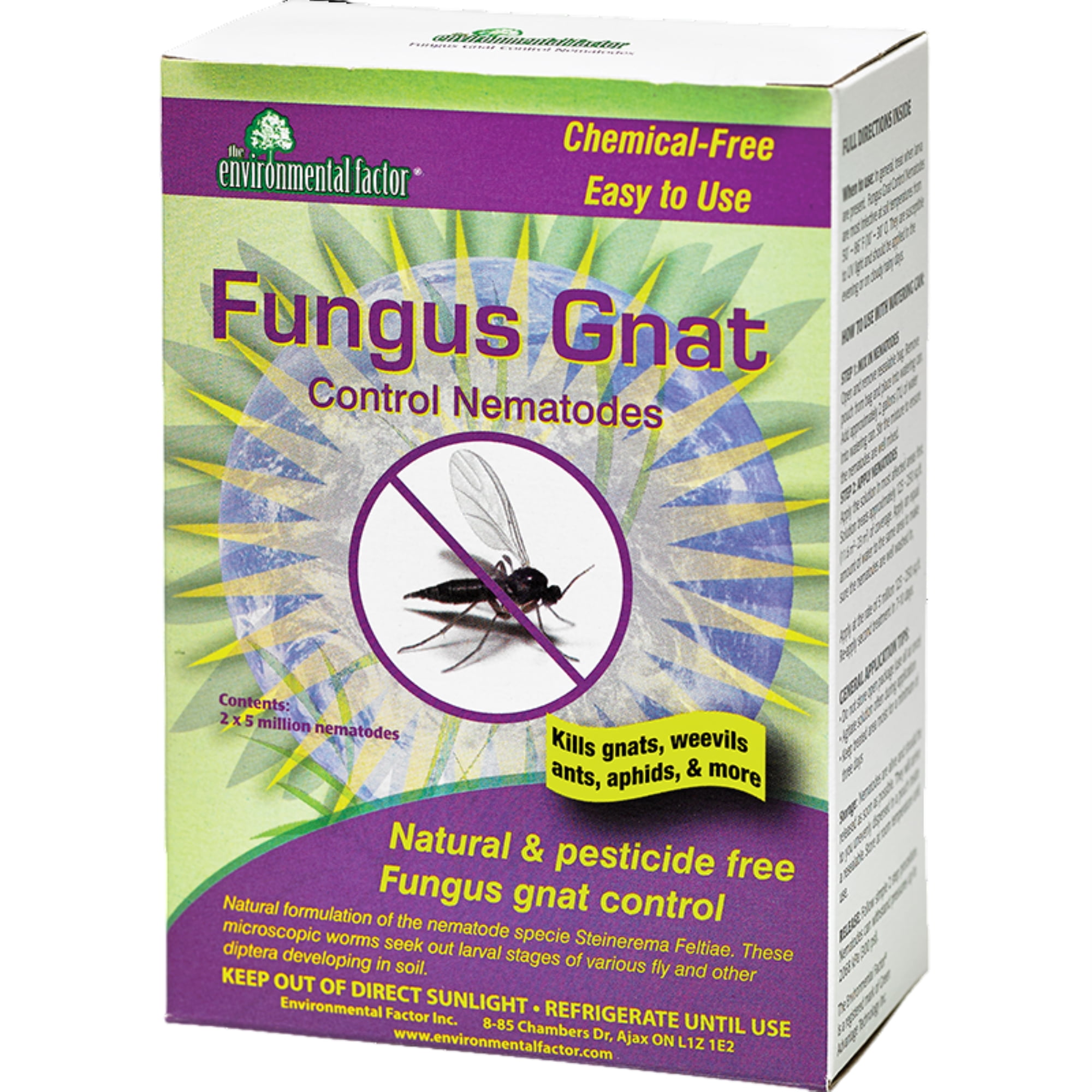 The Environmental Factor Bug Remedy: Chemical-Free Fungus Gnat ...