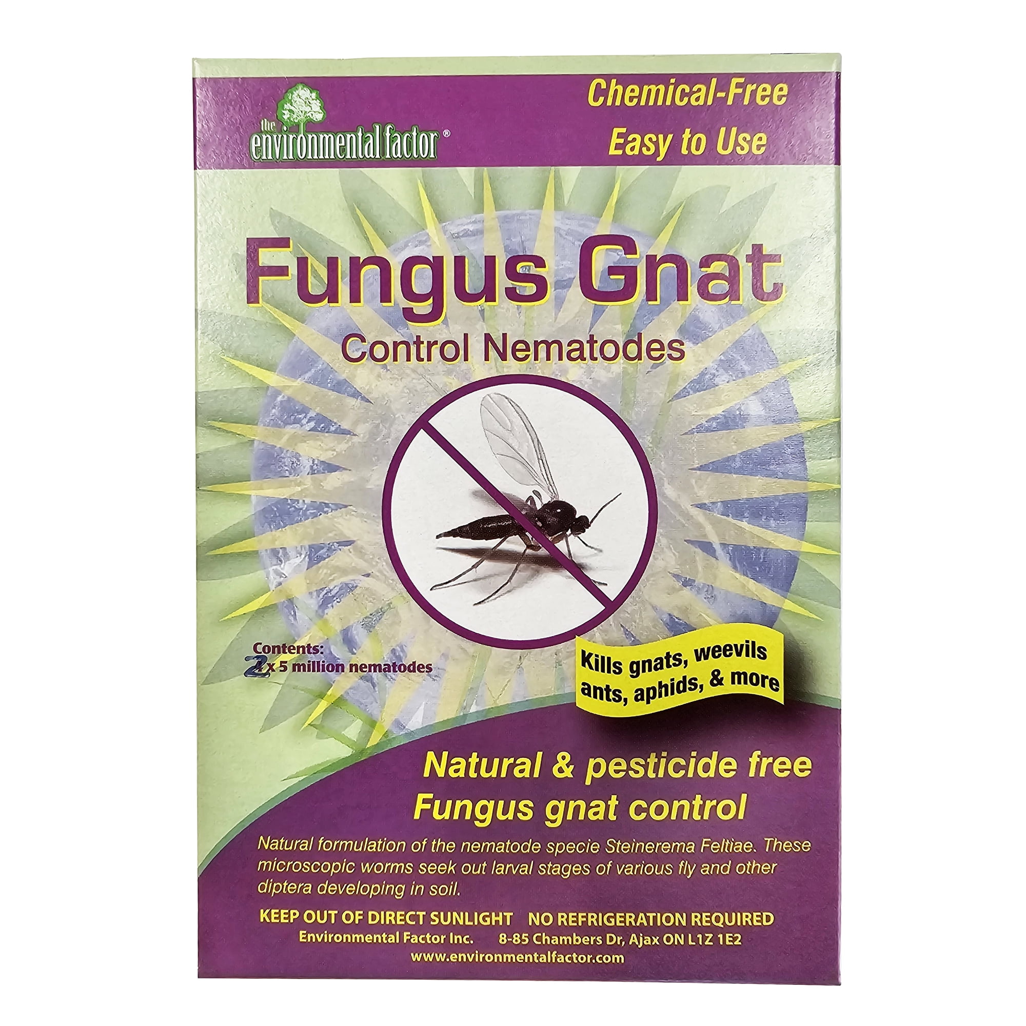 The Enviromental Factor Fungus Gnat Control Nematodes, Chemical Free ...