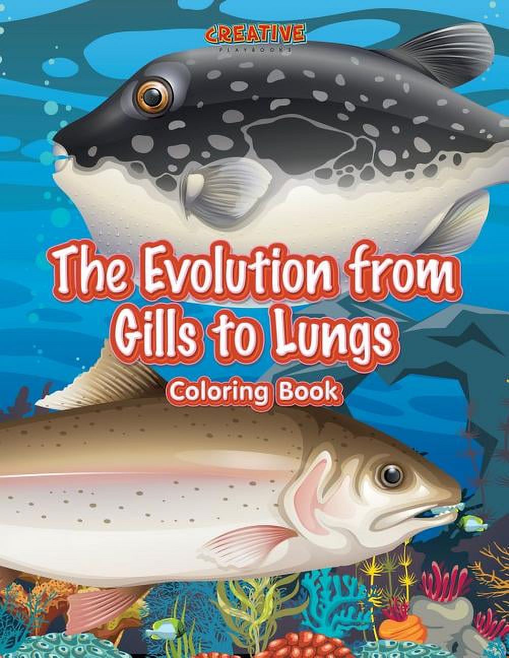 The Evolution from Gills to Lungs Coloring Book (Paperback) - Walmart.com
