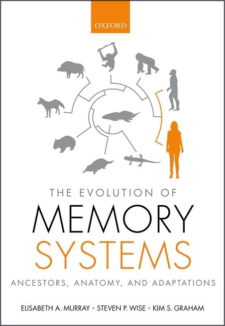 The Evolution of Memory Systems - Walmart.com
