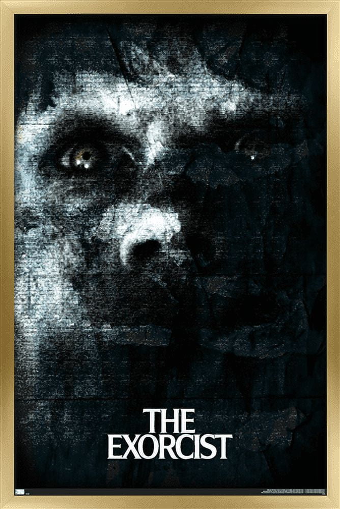 The Exorcist - Face Wall Poster, 14.725" x 22.375", Framed - Walmart.com
