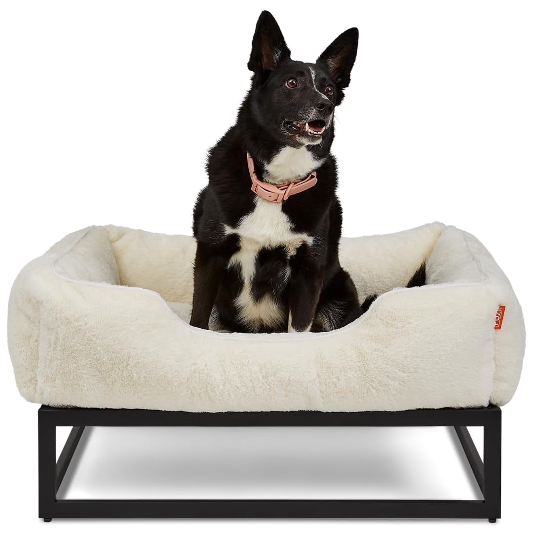 The FÜZI Luxury Elevated Dog Bed-Pet Bed for Medium Dogs-Cream Plush ...