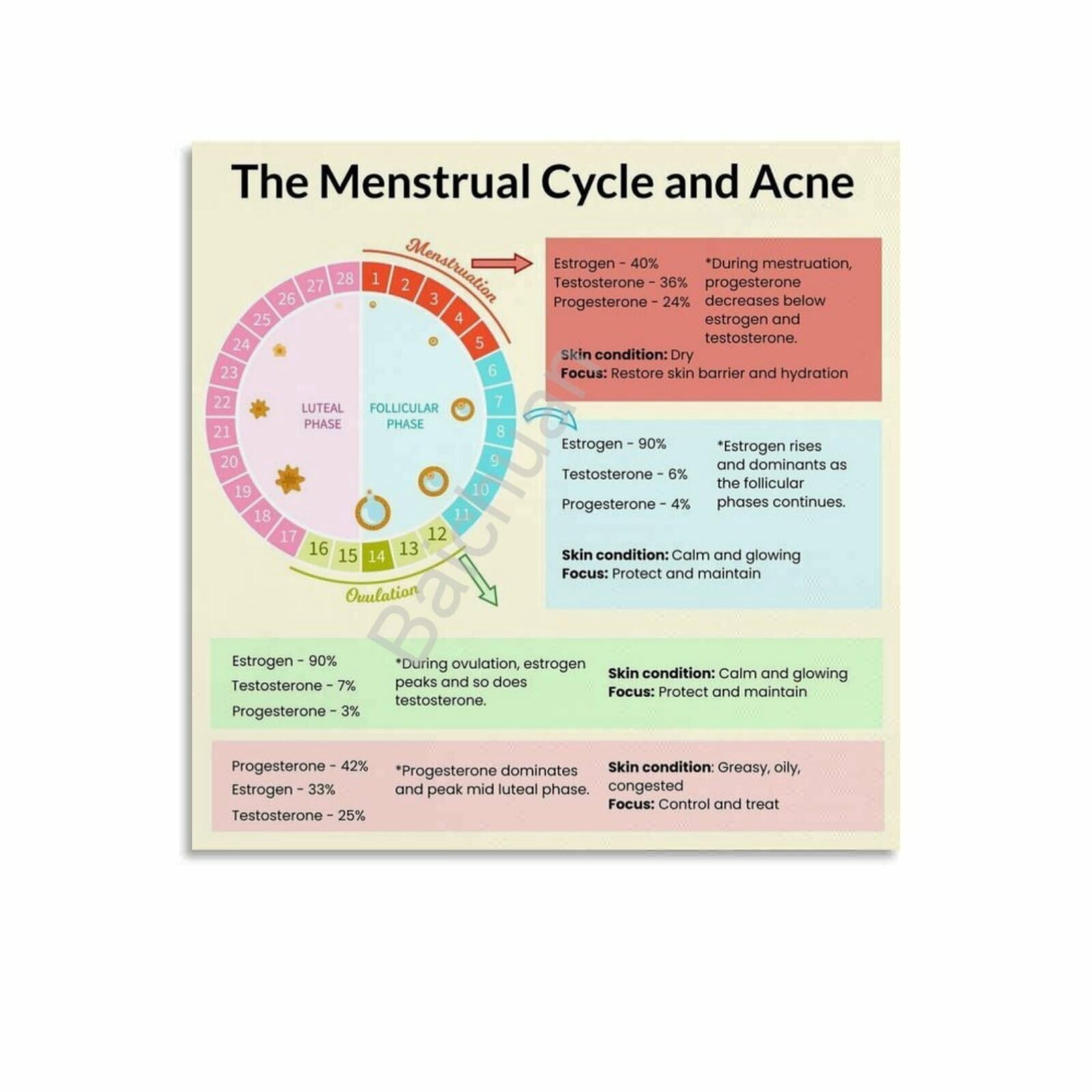 The Female Menstrual Cycle And Hormones Chart Women's Health Poster 2 ...