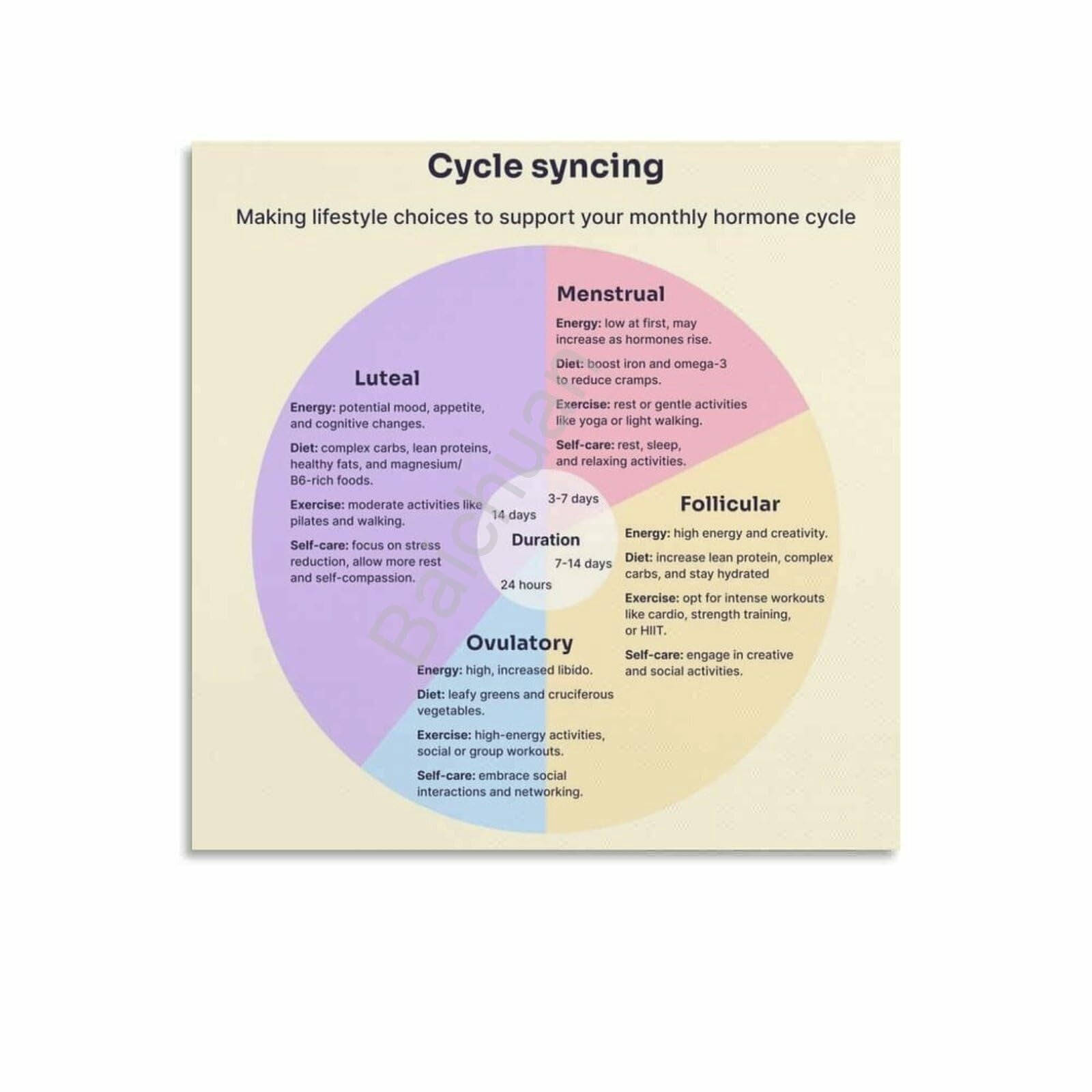 The Female Menstrual Cycle And Hormones Chart Women's Health Poster 3 ...