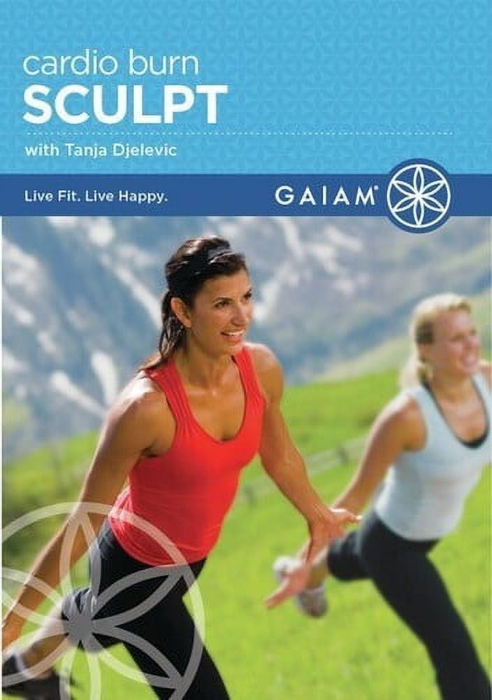The Firm: Cardio Sculpt (DVD), Gaiam Mod, Sports & Fitness - Walmart.com