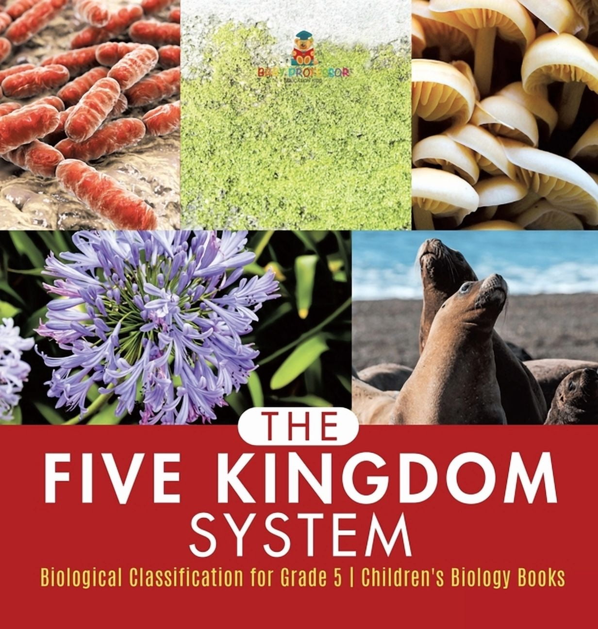 The Five Kingdom System Biological Classification for Grade 5 Children ...