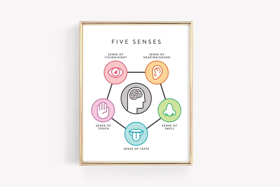 The Five Senses Poster Education Learning Montessori Classroom Wall Art ...