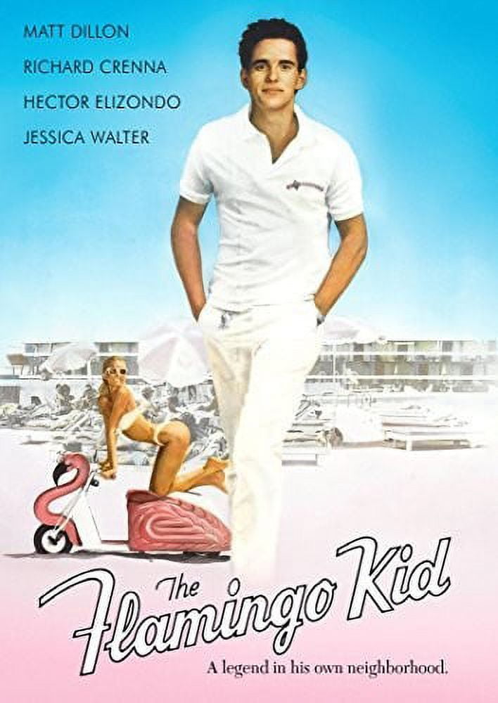 The Flamingo Kid (DVD) - Walmart.com