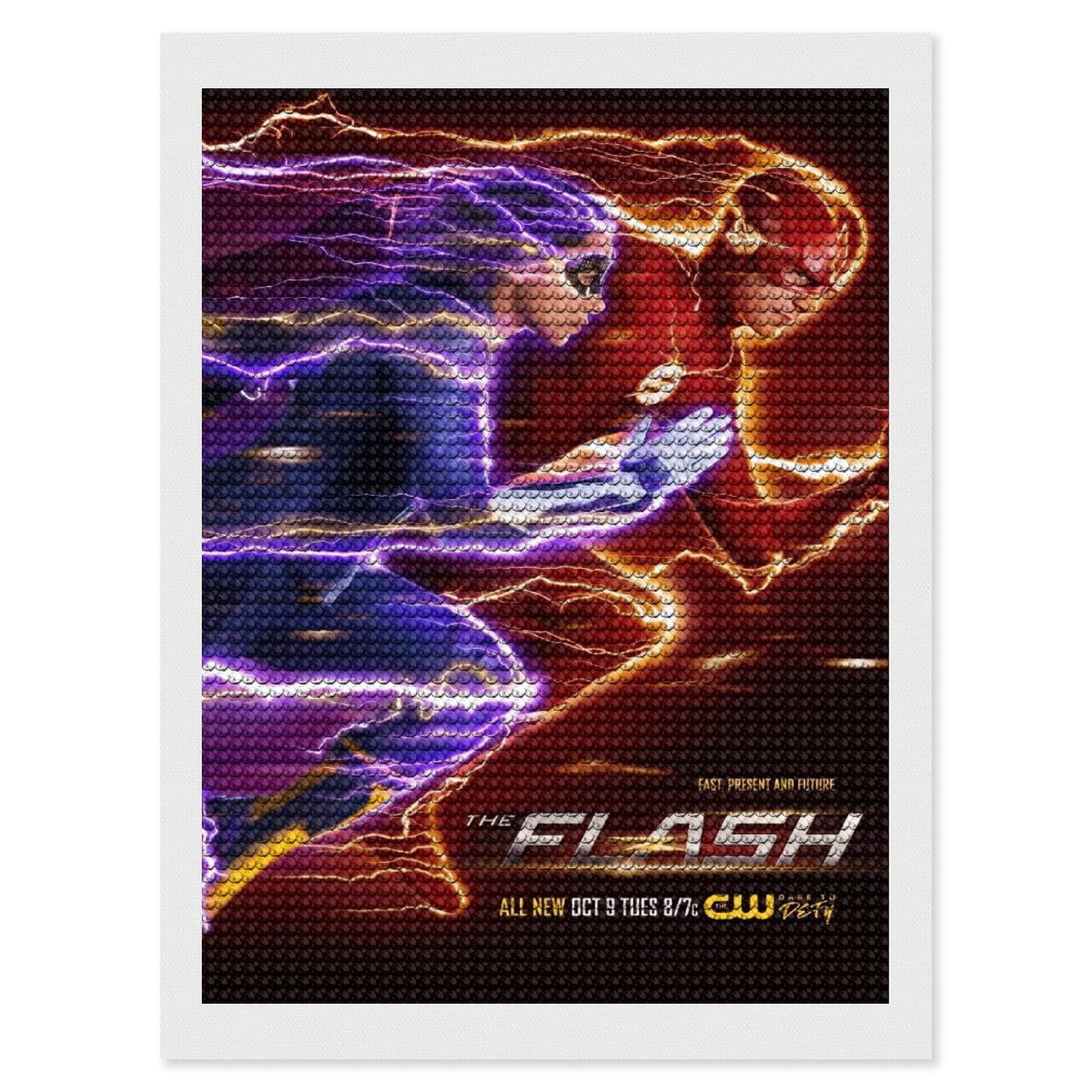 The Flash Diamond Arts Kits for Adults Diamond Art Gem Art Painting ...