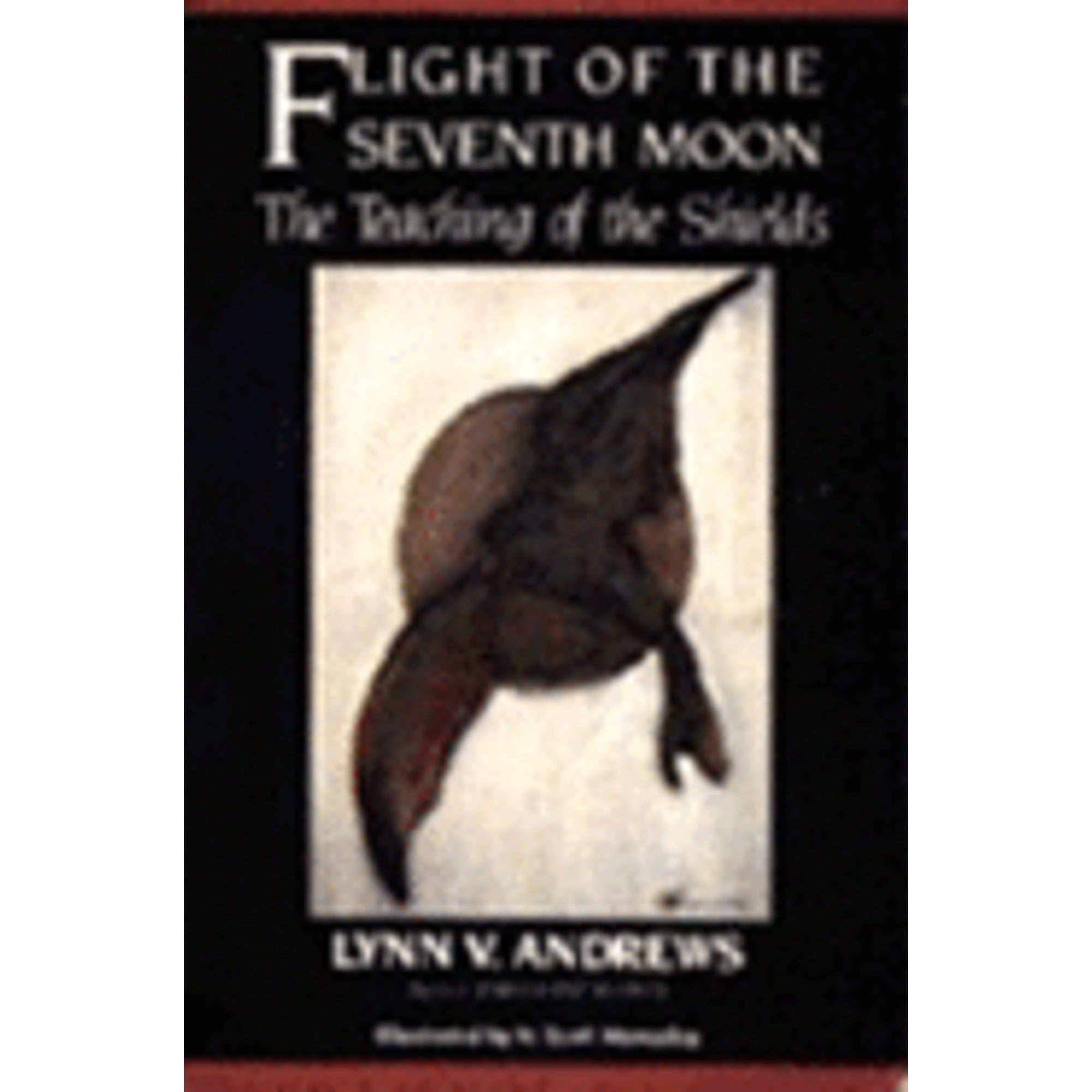 Pre-Owned Flight of the Seventh Moon (Paperback 9780062500281) by Lynn ...