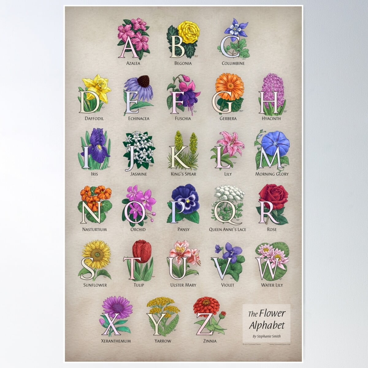 The Floral Alphabet Poster Wall Art, Modern Wall Decor For Living Room ...